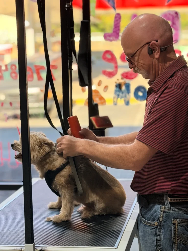 OTCK9 Grooming School: Essential Grooming Resources